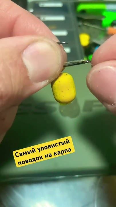 Поводок на Карпа из флюрокарбона #карп #рыбалка #карпфишинг #отдых ...