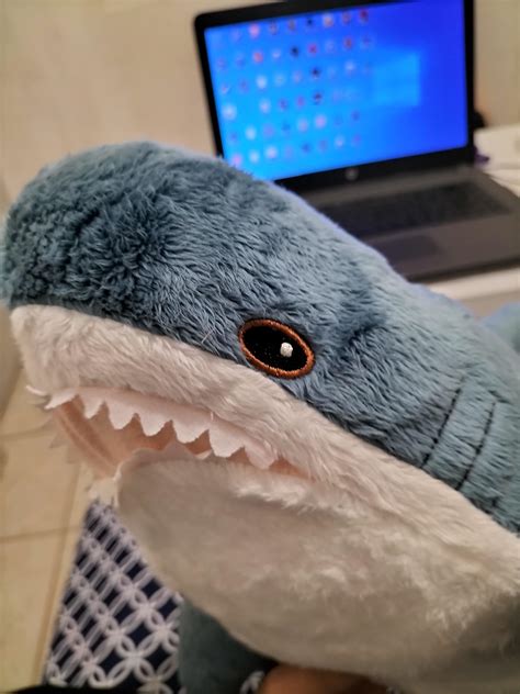 He has arrived, and his teeth are a little messy like mine. What should I call him? : r/BLAHAJ