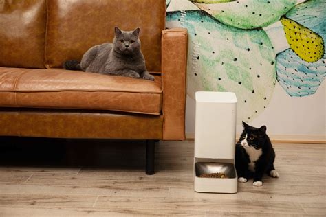 Xiaomi Mijia Smart Pet Feeder Xwpf01mg — Xiaomi-pad.ru