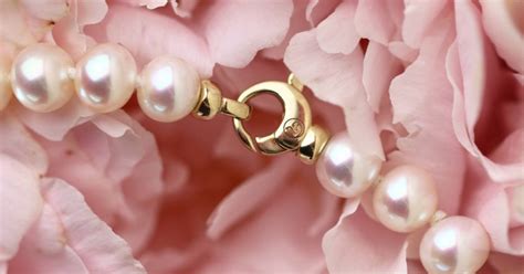 Как се образуват перлите? Как се образуват перлите? - Swan Pearls