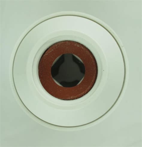 WaterSentinel Filtro inhibidor de calcio WS-21 y protector del sistema ...