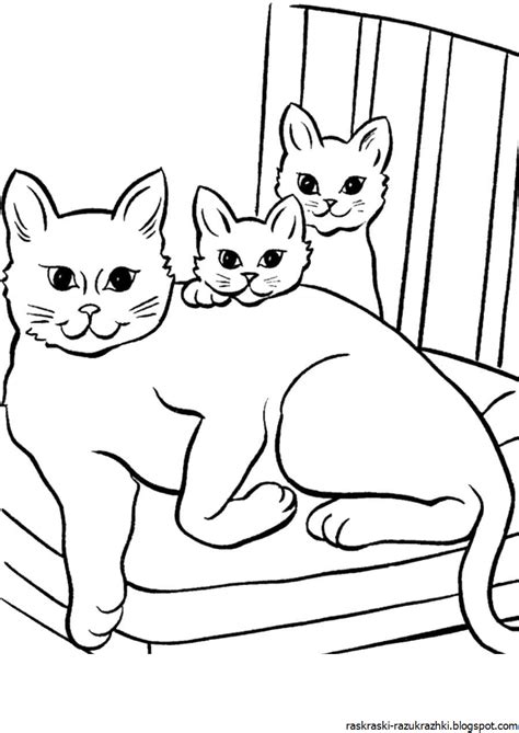 Раскраски Для Девочек Кошки И Котята