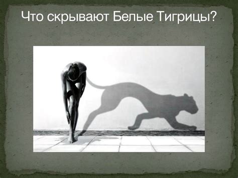 Тайные даосские сексуальные практики. Что скрывают белые тигрицы? - YouTube