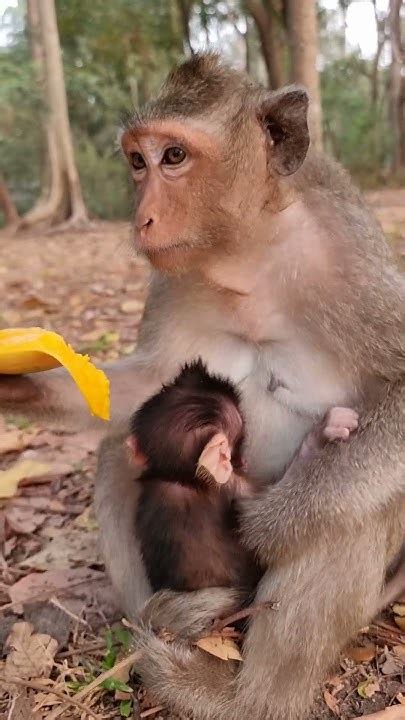 Nice mom JULIANA so great to take care her baby JILLIAN #shorts - YouTube