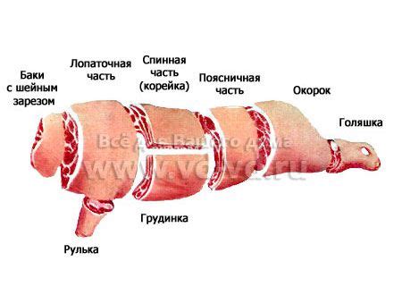 Части туши свиньи | Рецепты приготовления свинины, Мясо, Рецепты колбасы