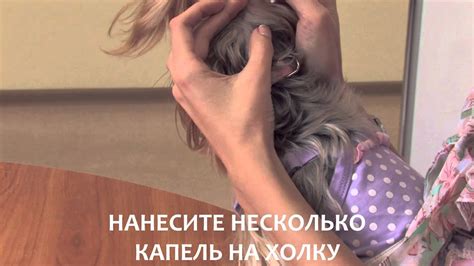 Капли Mr.Bruno для собак от клещей и блох - YouTube