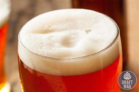 American Amber Lager: A Detailed Guide On The Best Lager Beer