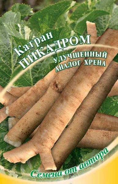 Катран Гавриш Тор27824.1 - купить по выгодным ценам в интернет-магазине ...