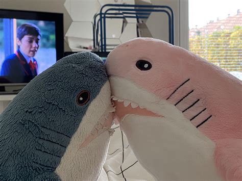 Little Blåhaj has a girlfriend now! : r/BLAHAJ