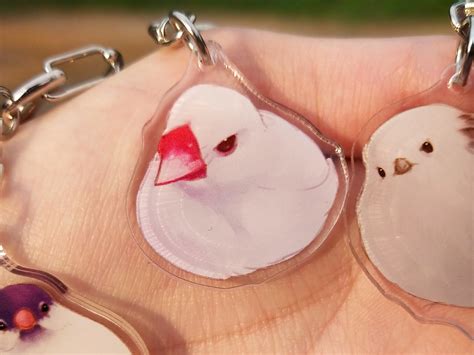 Round Lucky Bird KEY CHAIN | Ft.