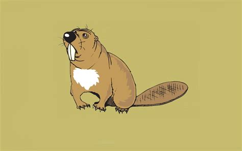 Beaver Wallpapers - Wallpaper Cave