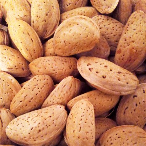 Продам/купить косточки крупного сладкого миндаля на посадку, сорт ...