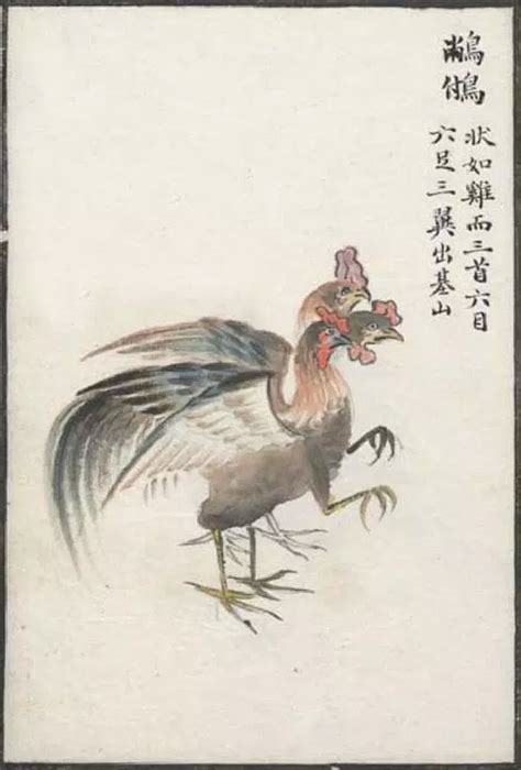 Чанфу | Bestiary.us