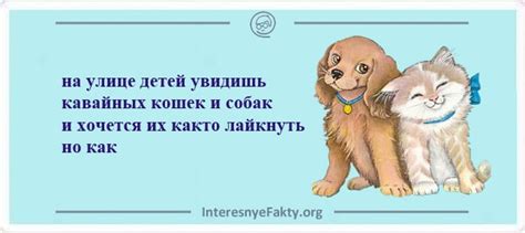 Лучшие Стишки Порошки