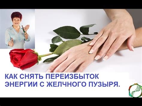 СУ ДЖОК В ПОМОЩЬ ЖЕЛЧНОМУ ПУЗЫРЮ. КАК УЛУЧШИТЬ СВОЕ НАСТРОЕНИЕ. - YouTube