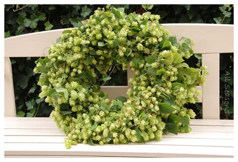 1000+ images about Hops on Pinterest | Gardens, Brewery and Brewing beer