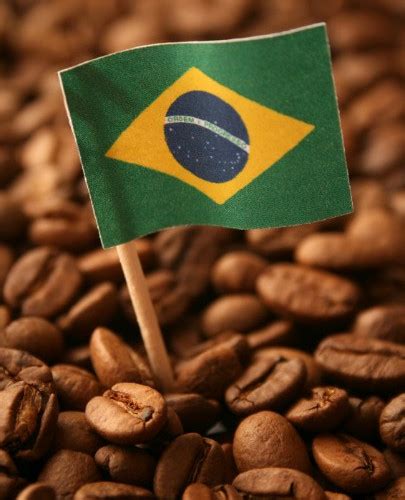 Coffee production in BRAZIL.