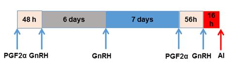 G6G presynchronization-OvSynch protocol. | Download Scientific Diagram