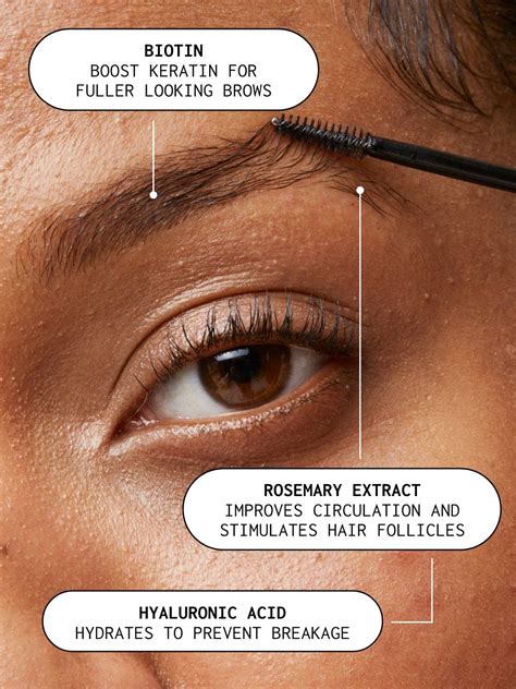 XBROW Eyebrow Serum - Xlash Cosmetics Singapore