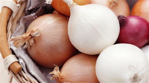 Репчатый лук: 11 научно-доказанных свойств лекарственного продукта