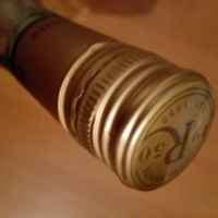 Вино Вина Италии Riunite "Emilia Lambrusco D'Oro | отзывы