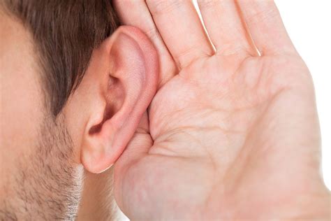 Картинки ухо (47 фото) » Юмор, позитив и много смешных картинок