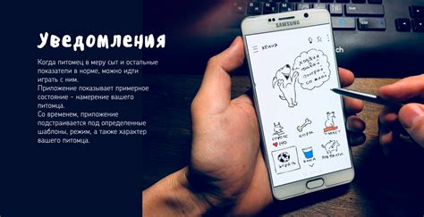 Мой питомец on Behance
