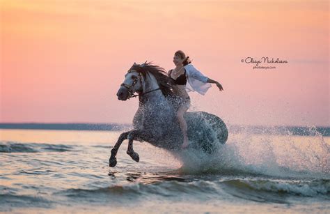лошади / человек и лошадь horse and human