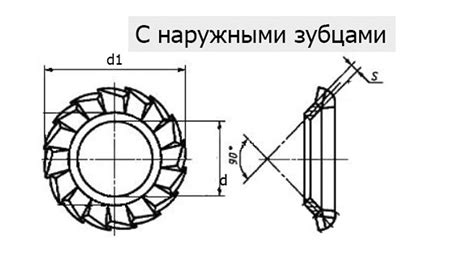 Размеры и виды стопорных шайб