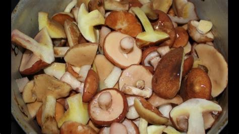 Маринованные маслята в банках на зиму домашних условиях простой рецепт ...