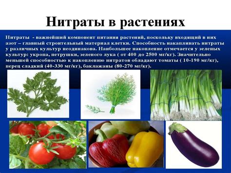 Влияние эллементов на состав растений. Содержание тяжелого металла в ...