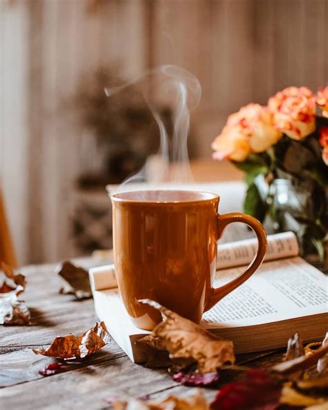 🍂🍁📖 Autumn Coffee ☕🍁🍂 | @CelesteMF_1D August 31st, 2019 | Пора пить ...