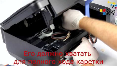Как почистить головку принтера hp: способы очистки, принципы доставки ...