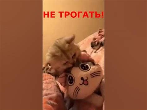 НЕ ТРОГАТЬ \ DON'T TOUCH - YouTube