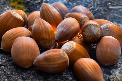 Hazelnut Brown Stone - Free photo on Pixabay - Pixabay