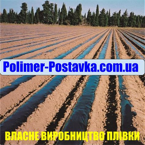 Пленка для мульчирования от производителя ЧЕРНАЯ 120см/500м/40мк/24мес ...
