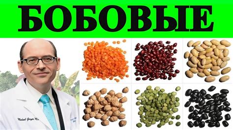 Бобовая Мука и Проростки Бобовых - Доктор Майкл Грегер - YouTube