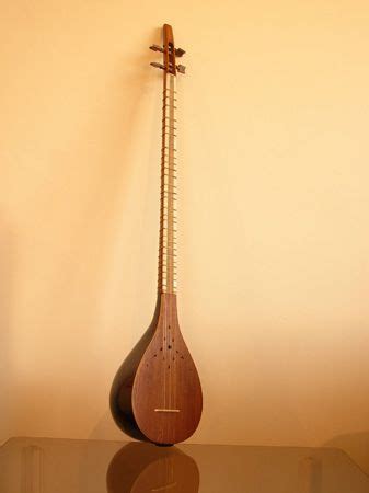 Dotar: A Traditional Iranian String Instrument