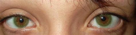 Freshlook Colors (2 шт)ы | Купить в интернет-магазине Viplinza