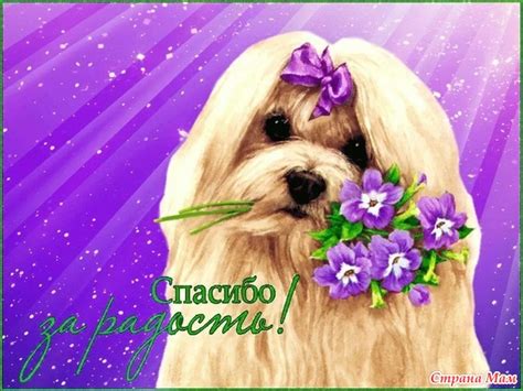 . Моя весенняя кофточка - Вязание - Страна Мам
