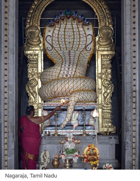 Nagaraja | Spiritual art, Lord shiva painting, Hindu