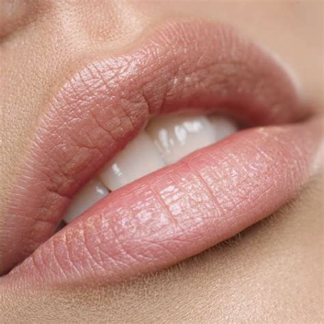 Natural Lip Smoother | Organic Vitamin E Lip Balm | Ecco Bella