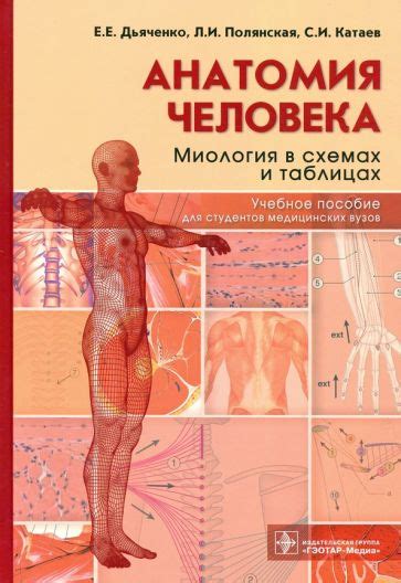 Книга: "Анатомия человека. Миология в схемах и таблицах. Учебное ...
