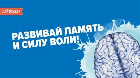 Упражнения для мозга, развивающие память и силу воли - YouTube