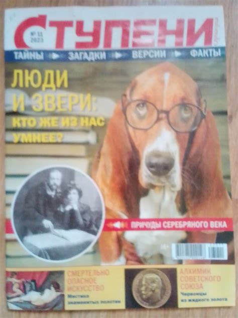 Ступени | отзывы