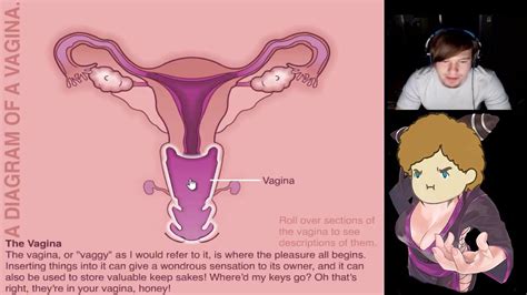 Vagina Simulator - YouTube