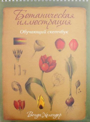 Книга: "Ботаническая иллюстрация" - Венди Холендер. Купить книгу ...