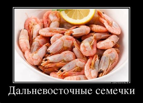 Демотиватор креветка (47 фото)