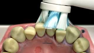 Material für Patienten von Oral-B