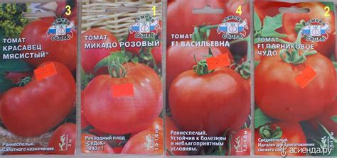 Томат микадо сибирико: характеристика и описание сорта с фото ...